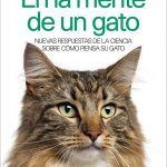 TOP Mejores libros de Gatos 2020 | Libroveolibroleo